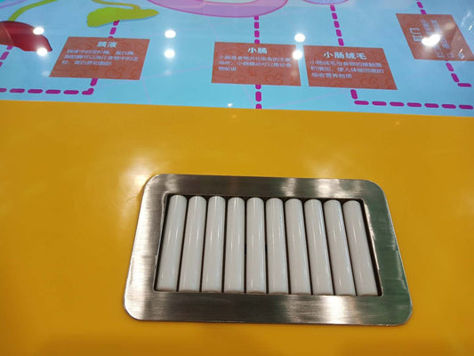 Children's Museum Digestive System Science Exhibit