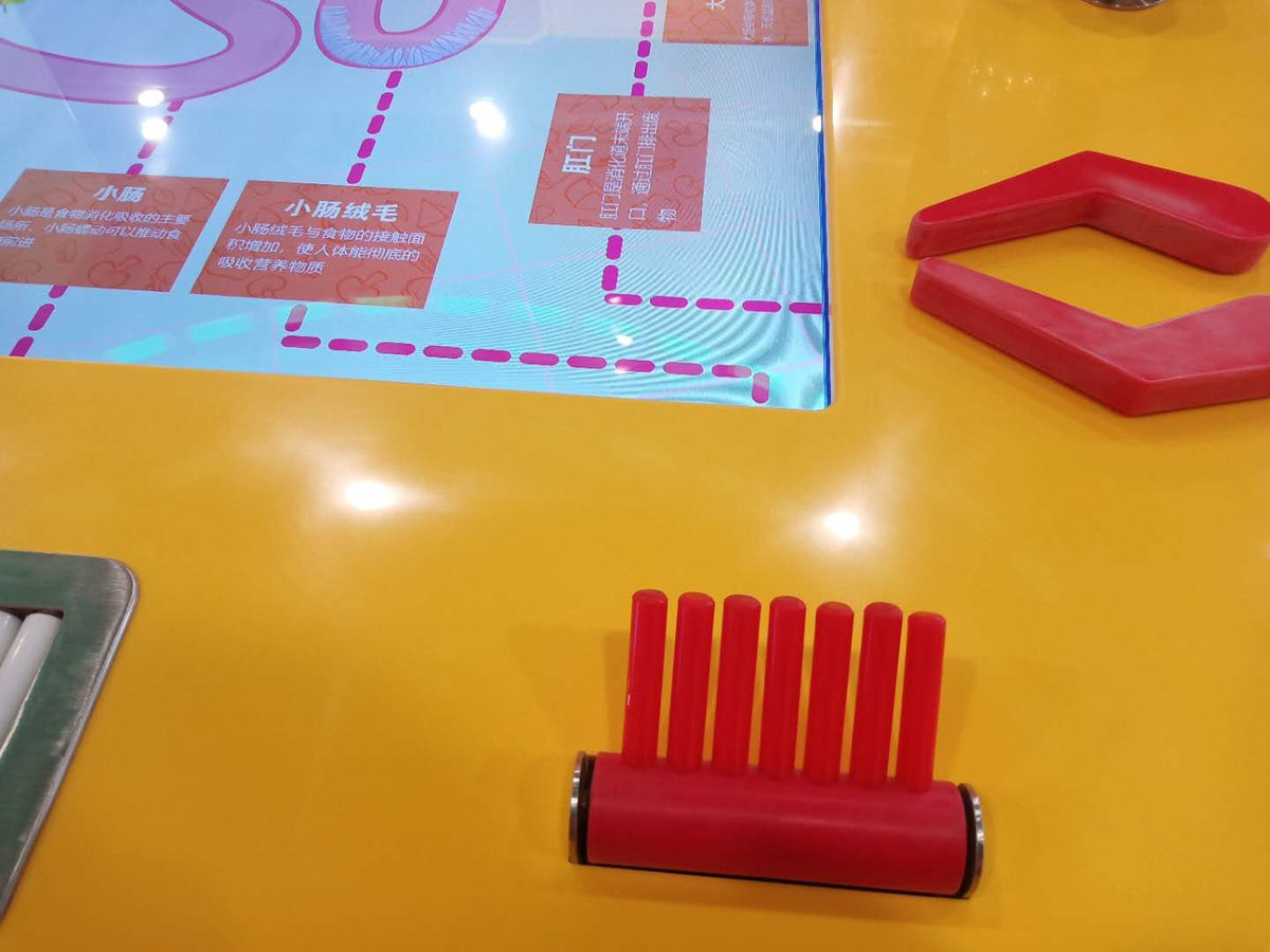 Children's Museum Digestive System Science Exhibit