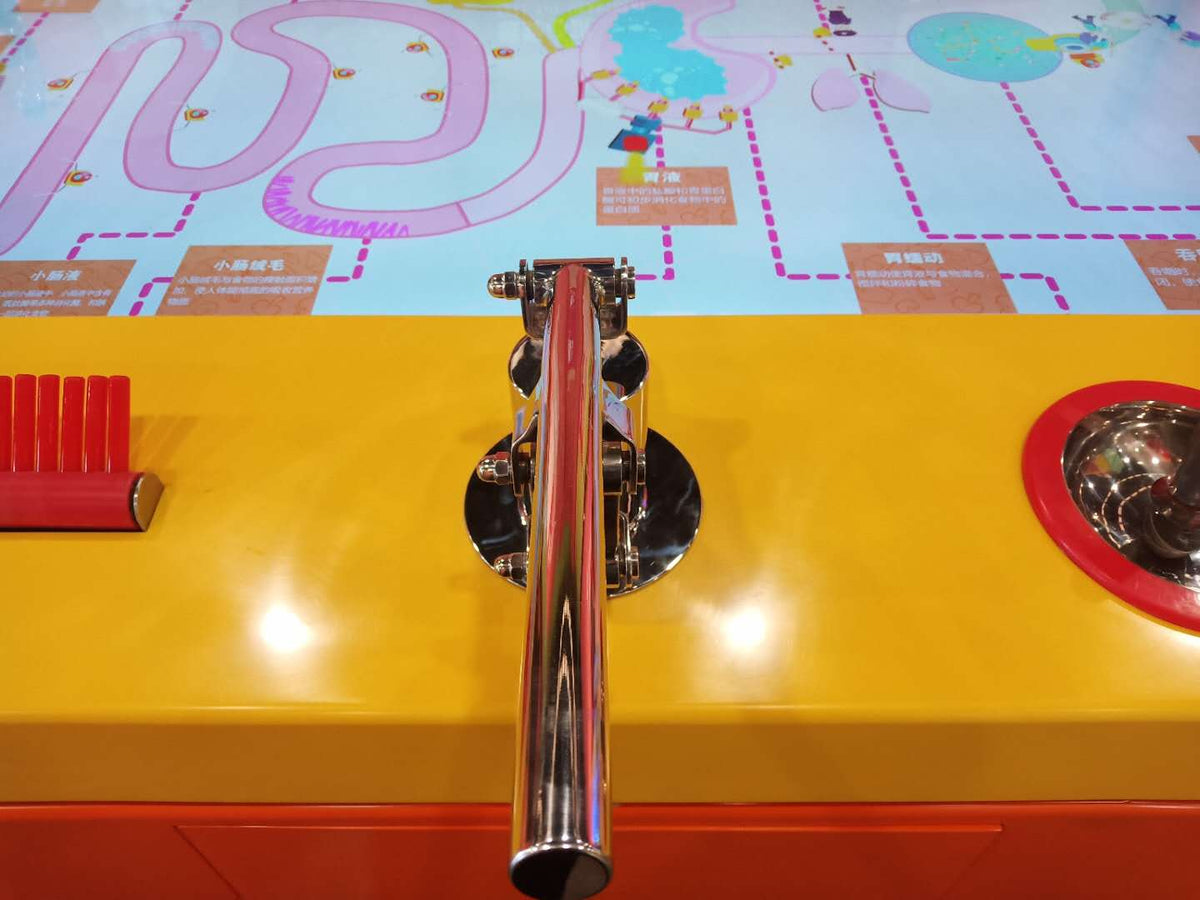 Children's Museum Digestive System Science Exhibit