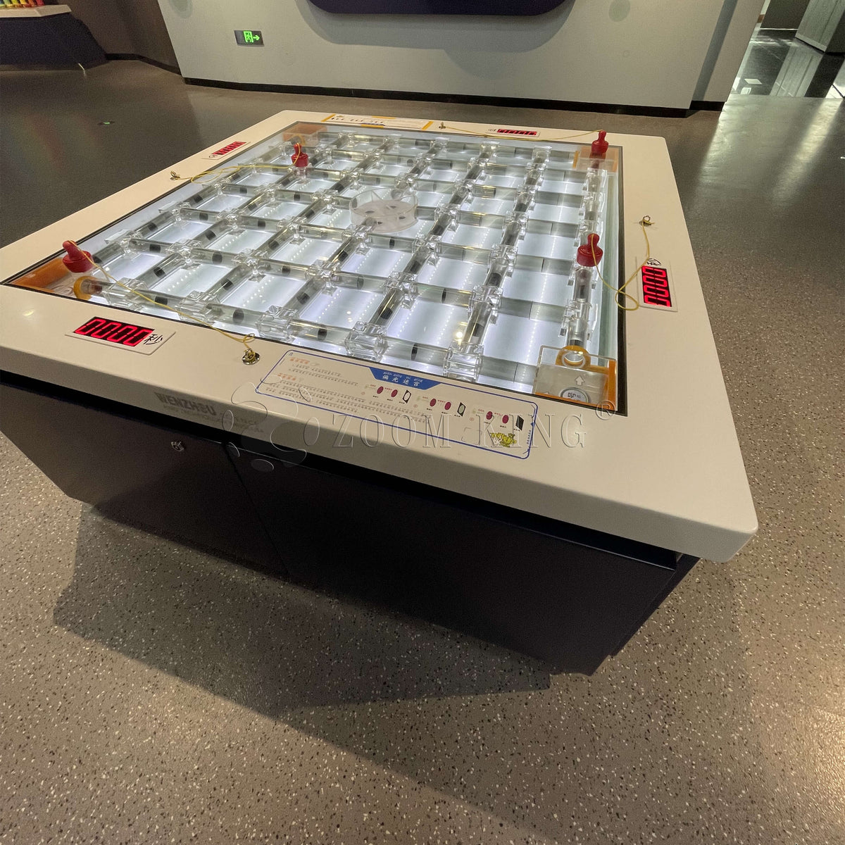 Zoom King | Interactive Science Equipment for Museums